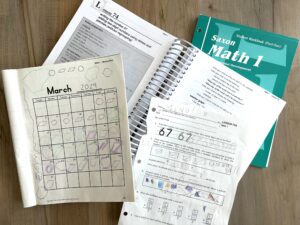 3 Reasons Why I Decided to Switch Math Curriculums - Devoted to Littles