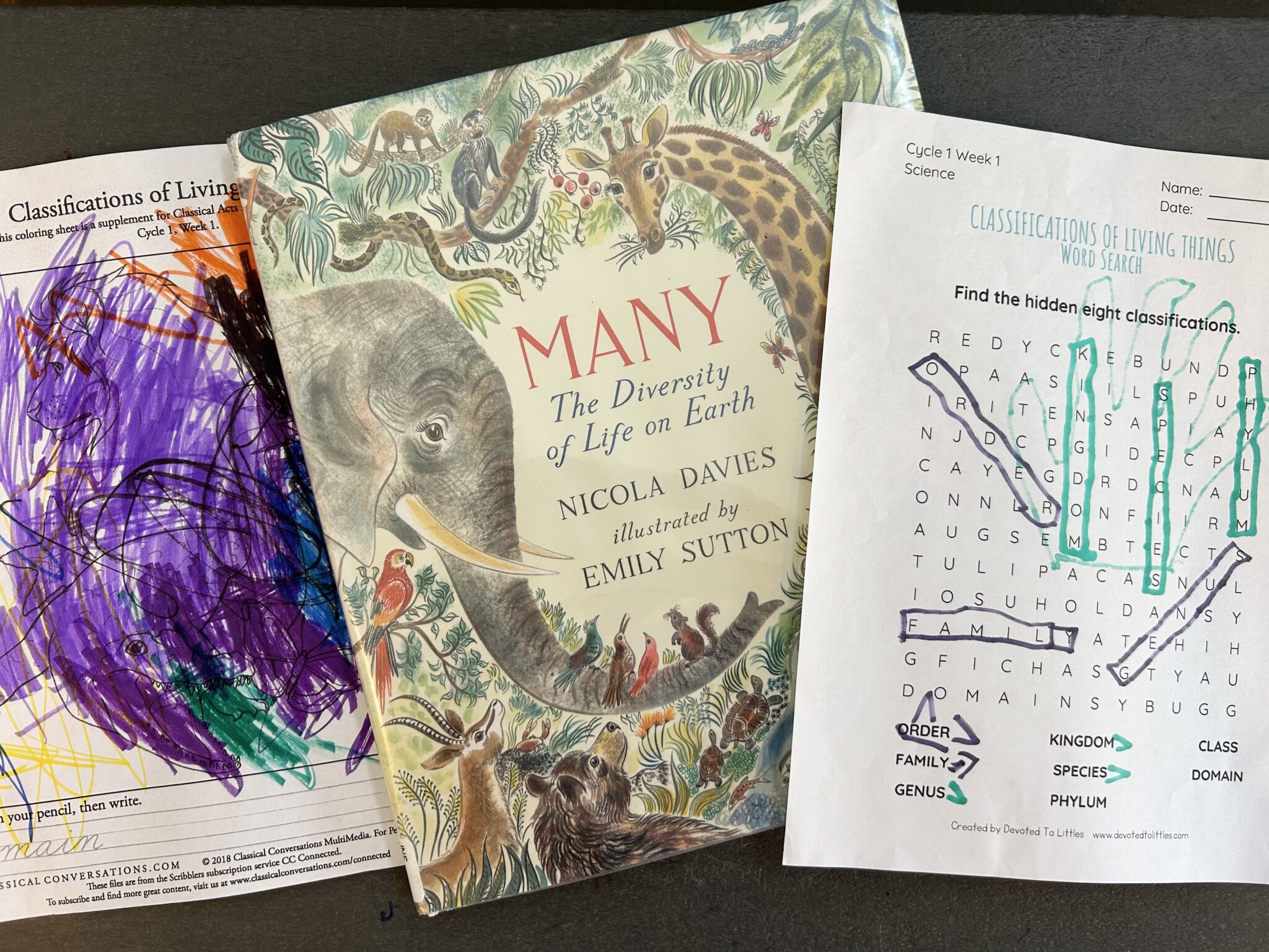 Cycle 1 Week 1 At Home Activities for Classical Homeschooling - Devoted ...