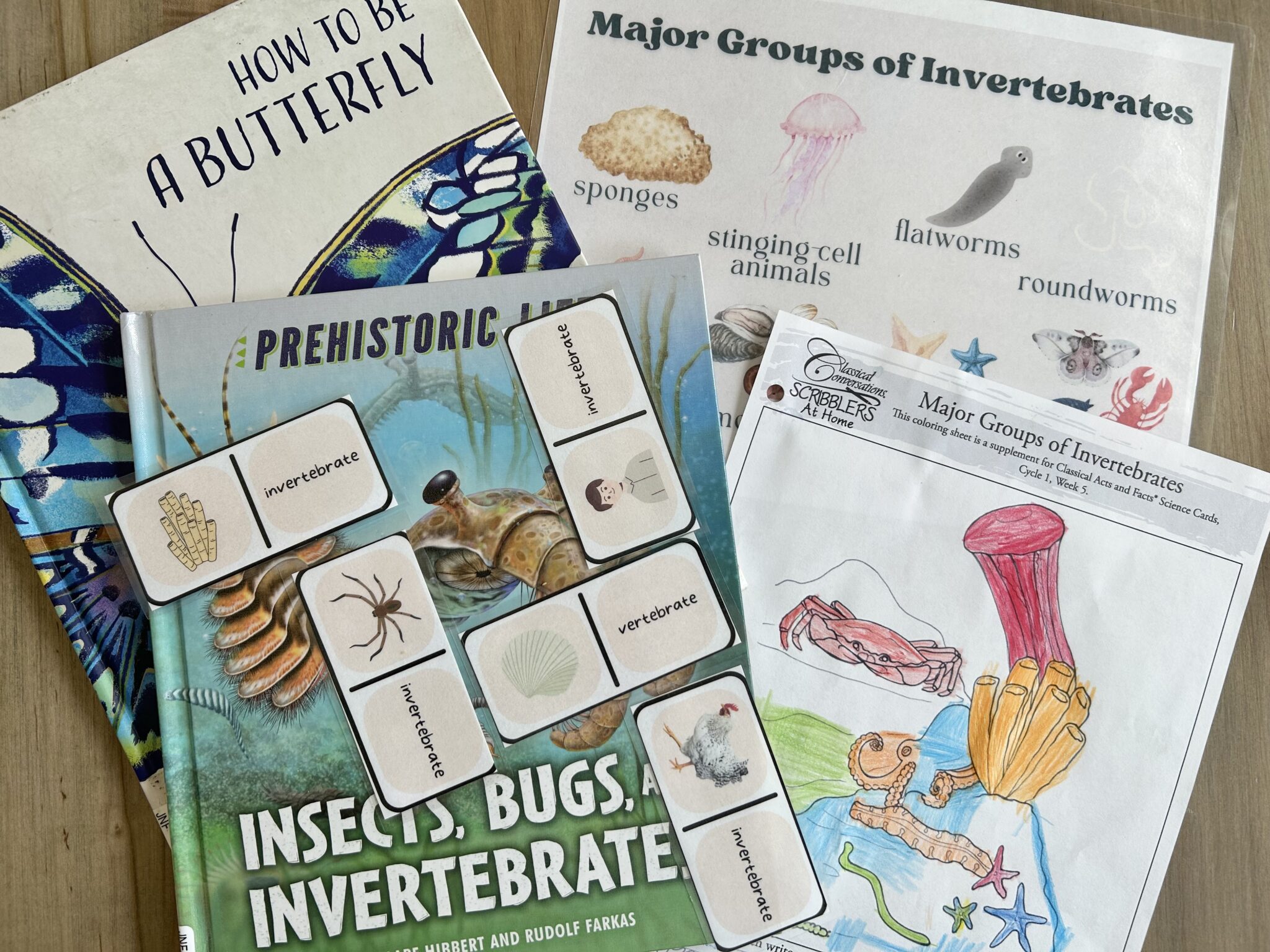 What to Expect in Classical Conversations Cycle 2 - Devoted to Littles