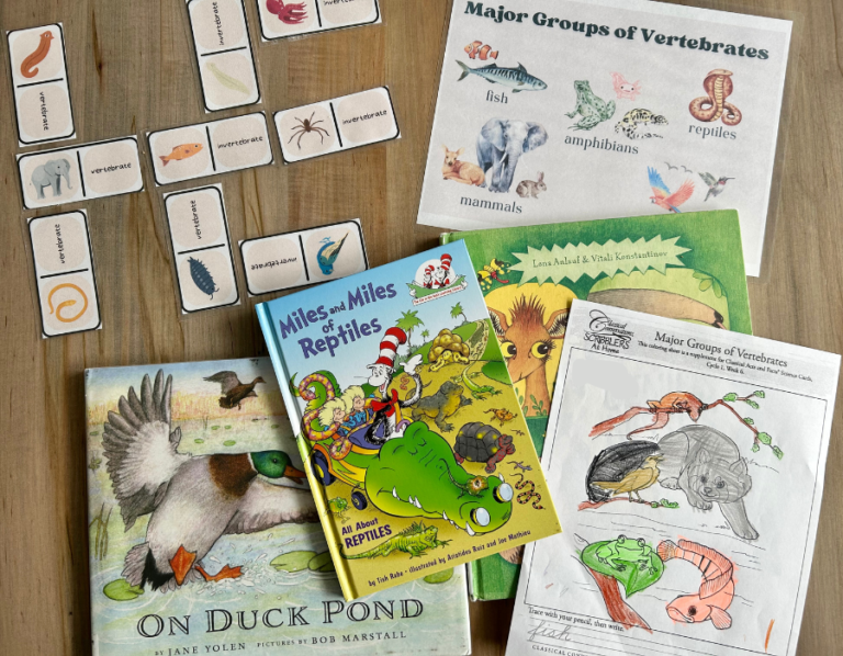 Cycle 1 Week 6 At Home Activities for Classical Homeschooling - Devoted ...