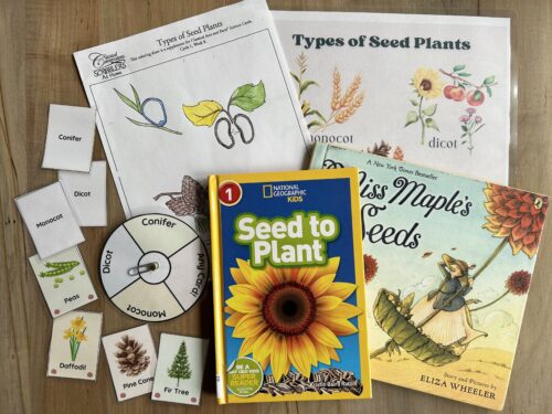 Cycle 1 Week 8 At Home Activities for Classical Homeschooling - Devoted ...