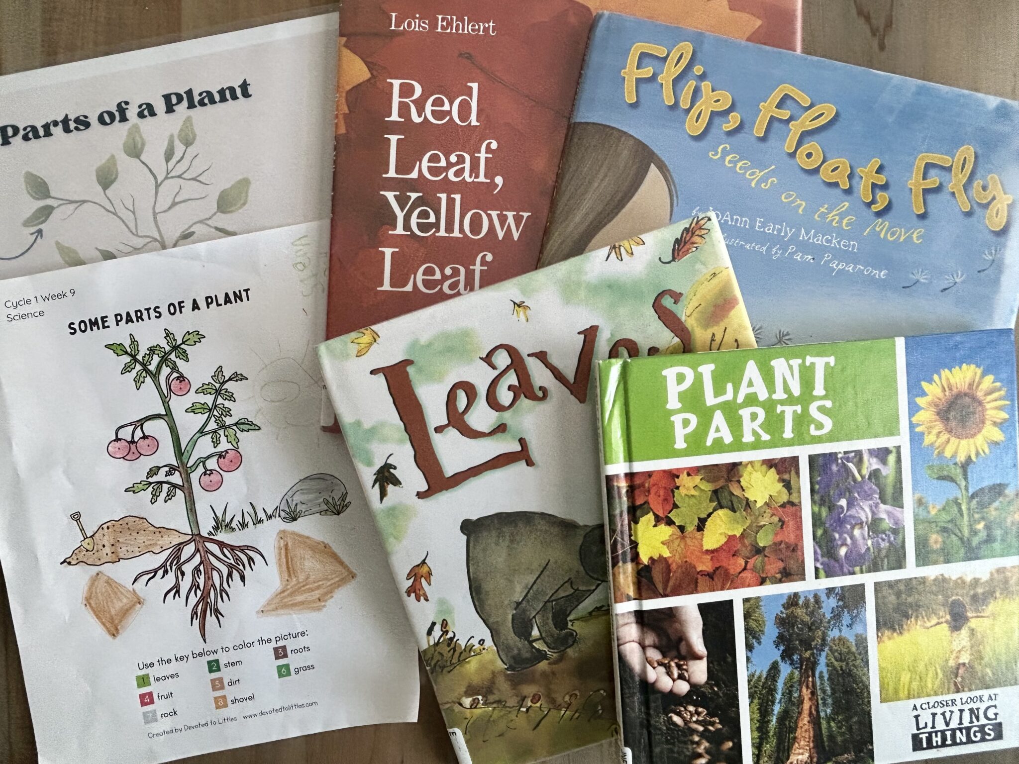 Cycle 1 Week 9 At Home Activities for Classical Homeschooling - Devoted ...