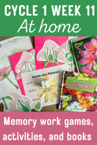 Cycle 1 Week 11 At Home Activities for Classical Homeschooling ...