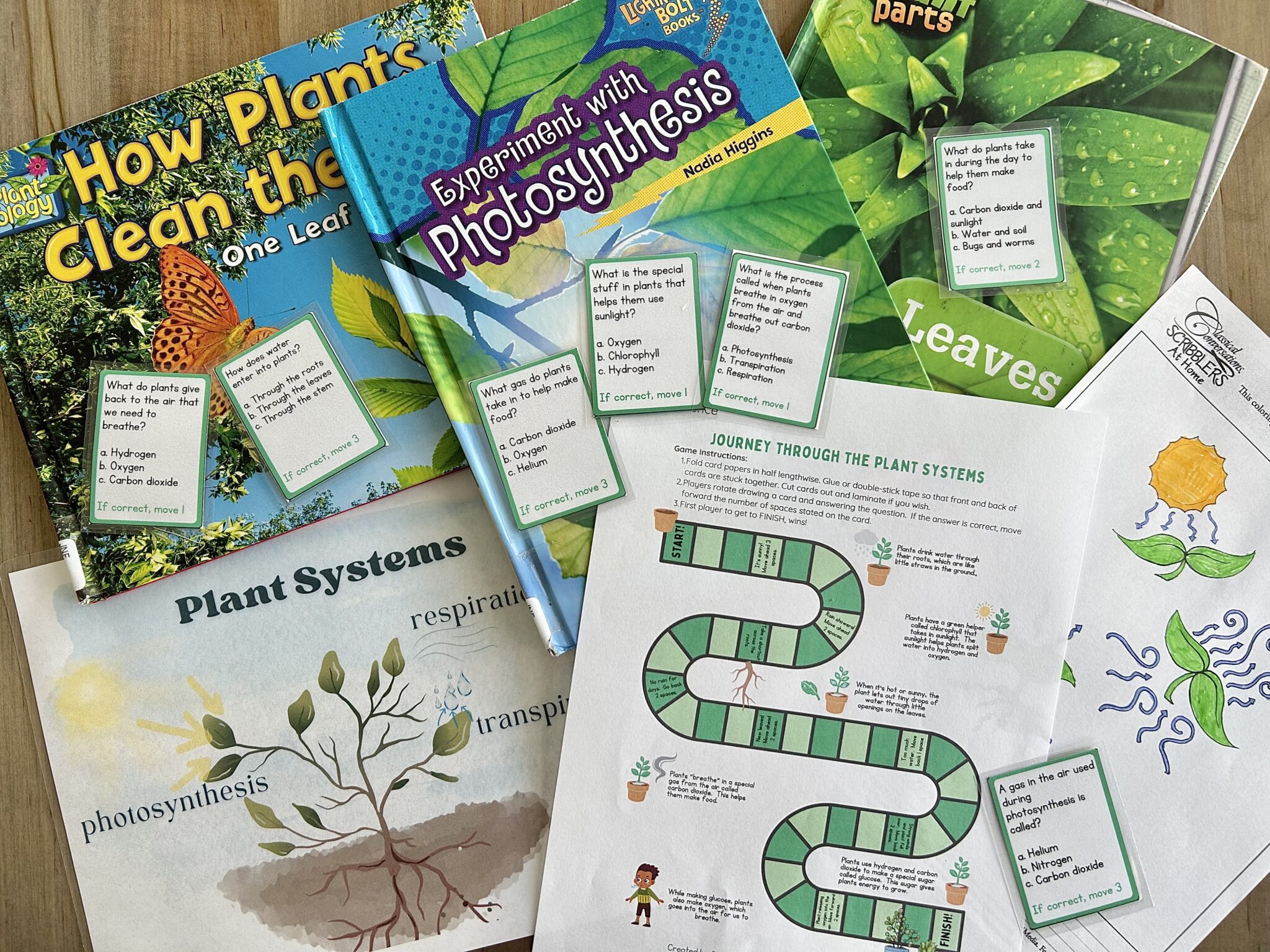 What to Expect in Classical Conversations Cycle 2 - Devoted to Littles