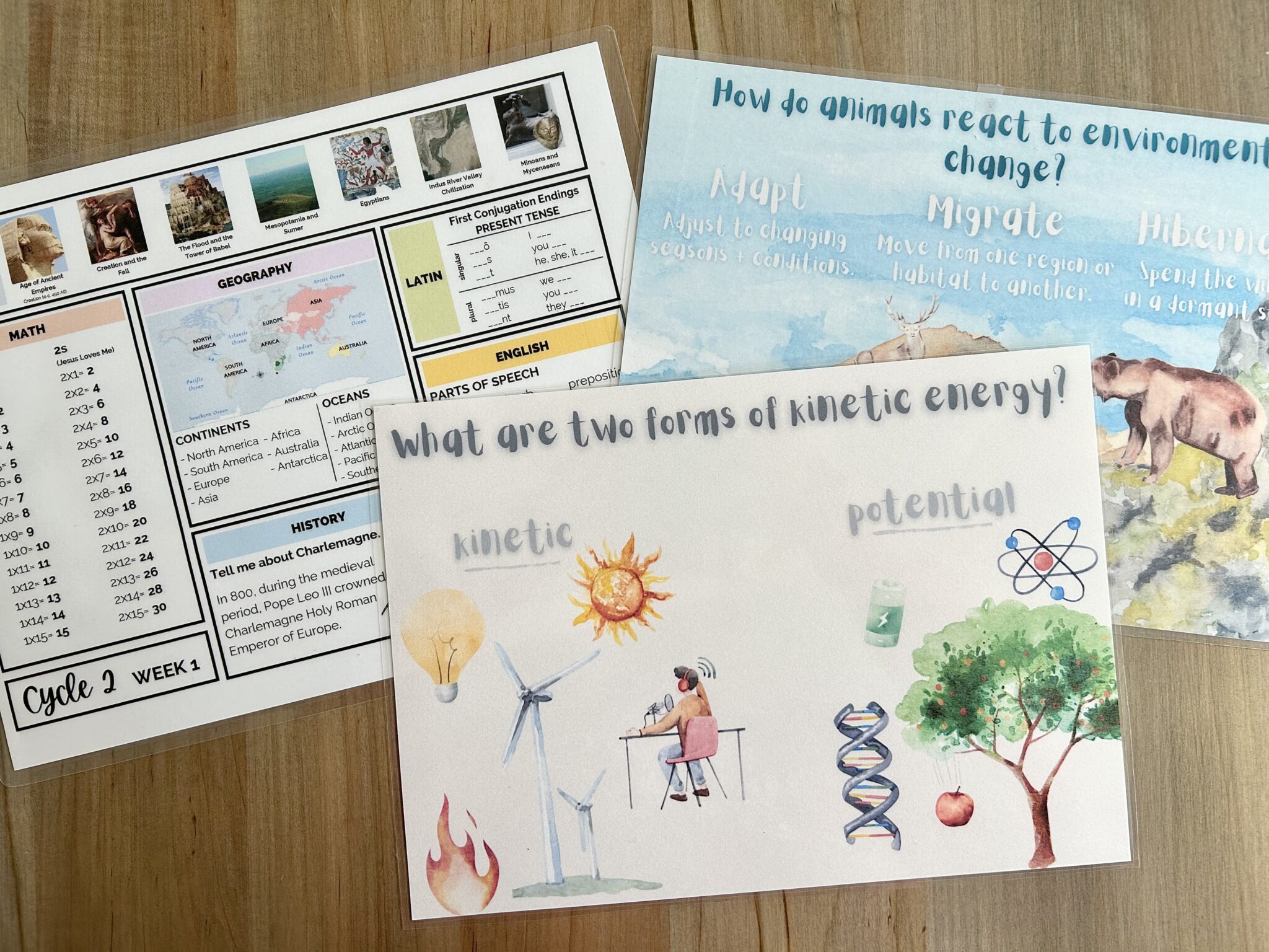 What to Expect in Classical Conversations Cycle 2 - Devoted to Littles