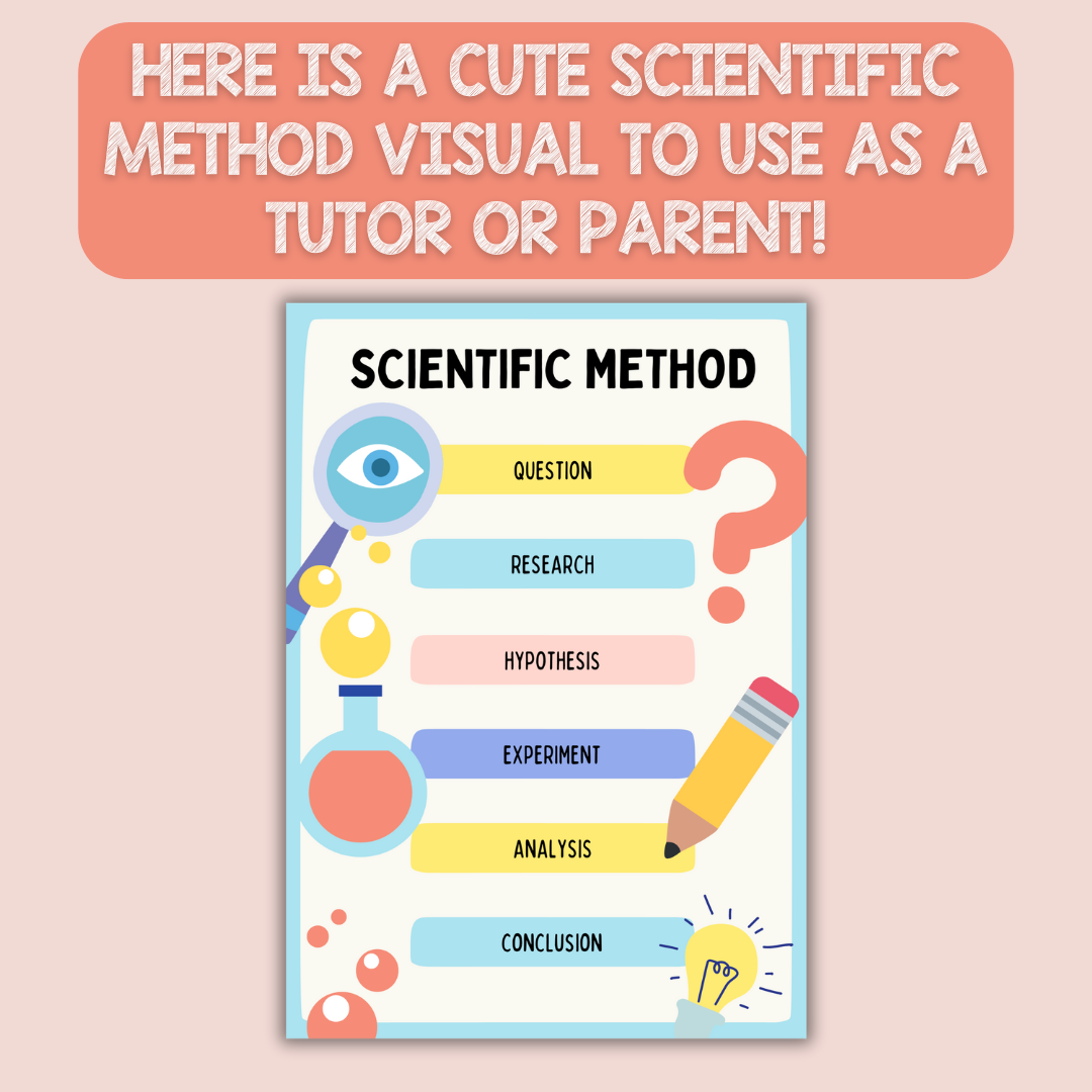 Cycle 2 Week 1 Tutor Ideas for Classical Homeschooling - Devoted to Littles