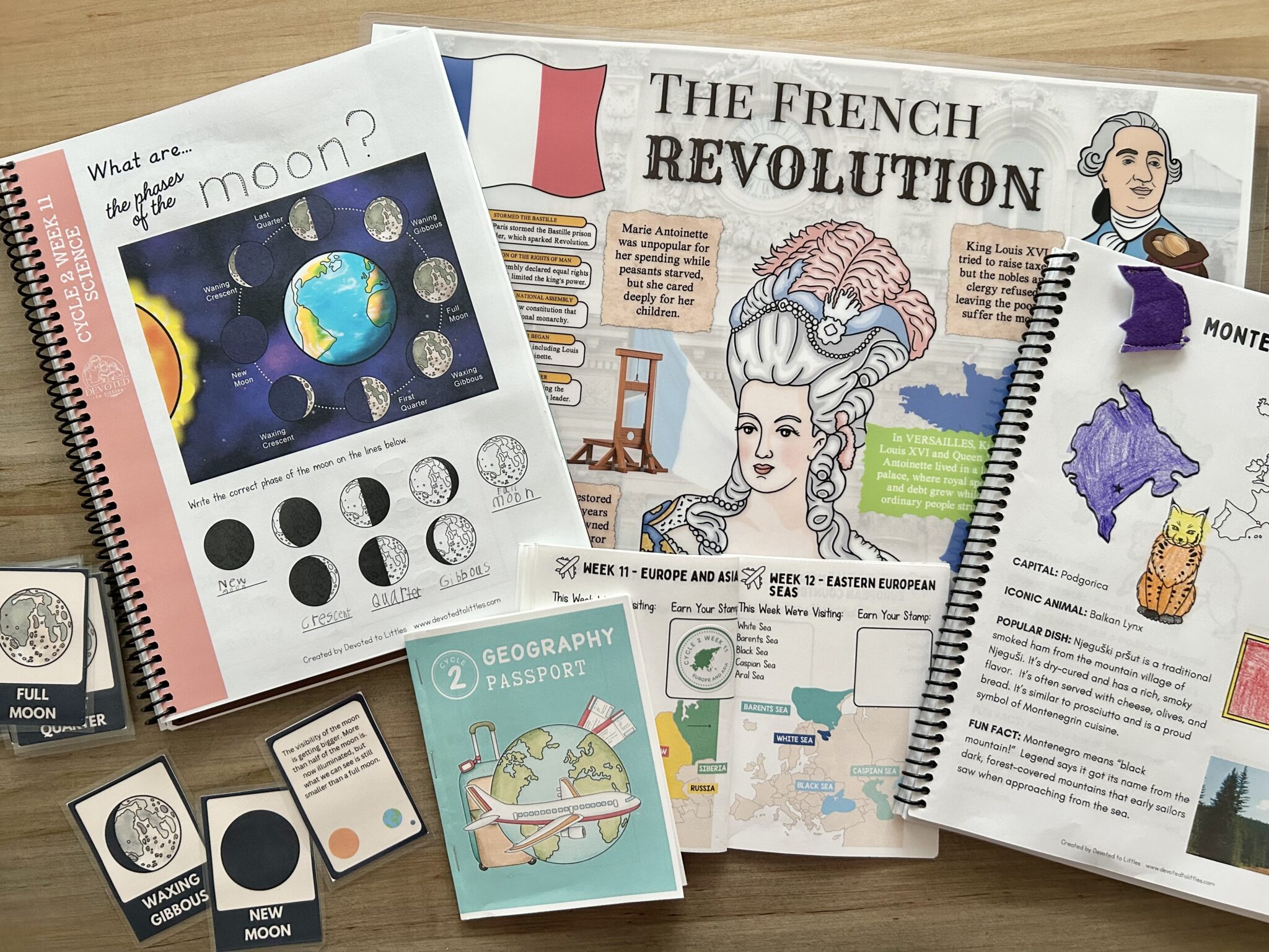 What to Expect in Classical Conversations Cycle 2 - Devoted to Littles